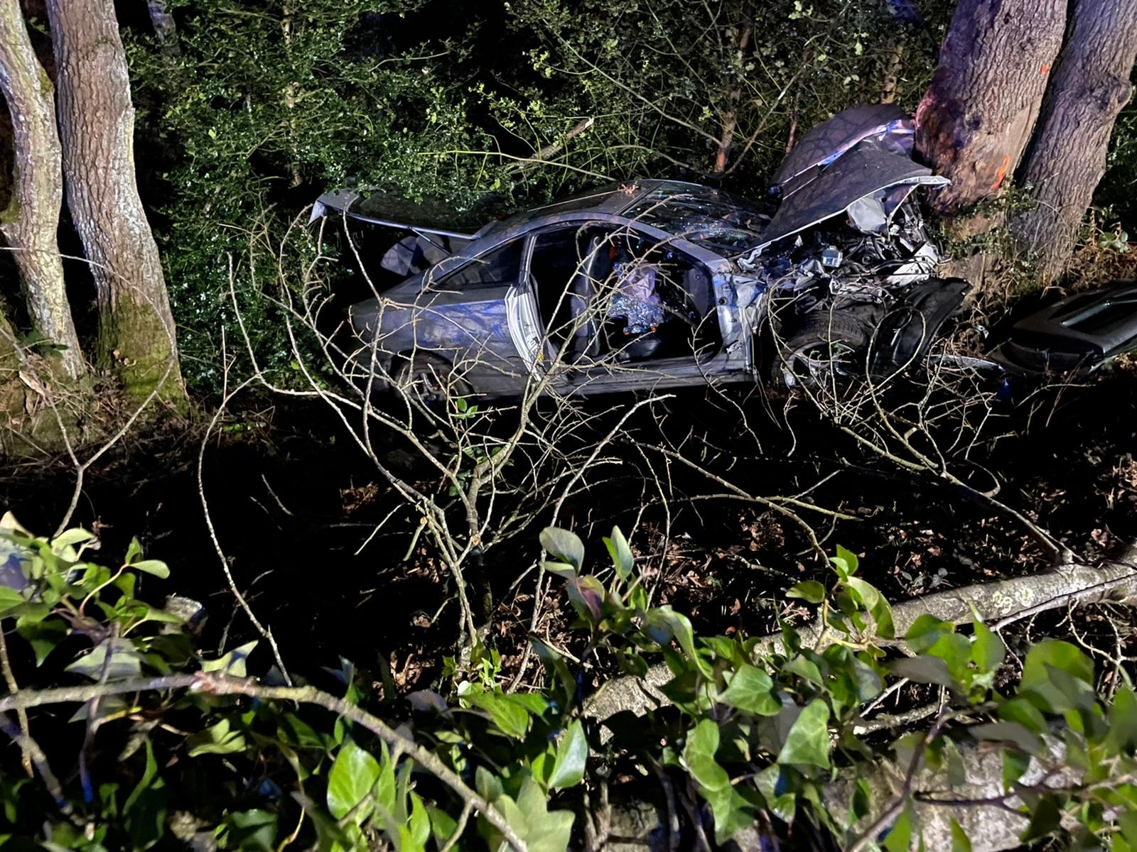 Firefighters rescue driver after car hits tree in Yateley - Hampshire ...