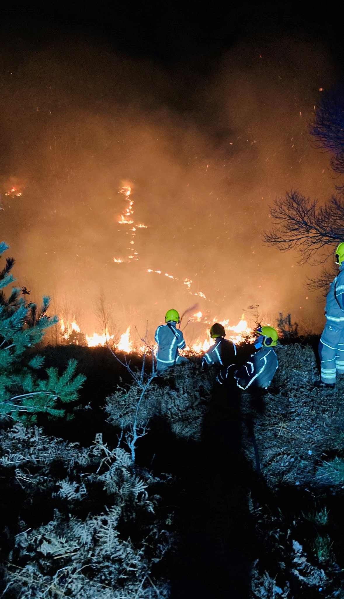 Crews battle difficult conditions to tackle heath fire - Hampshire ...