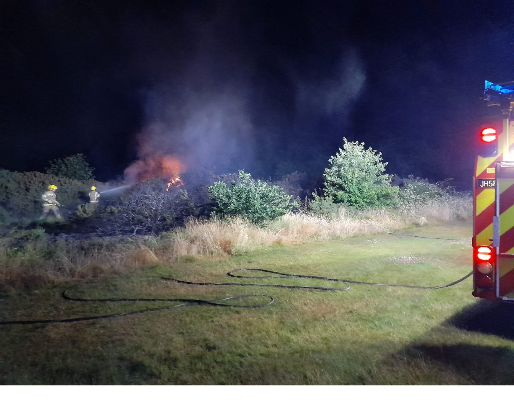 New Forest on-call firefighters tackle gorse blaze in the early hours ...