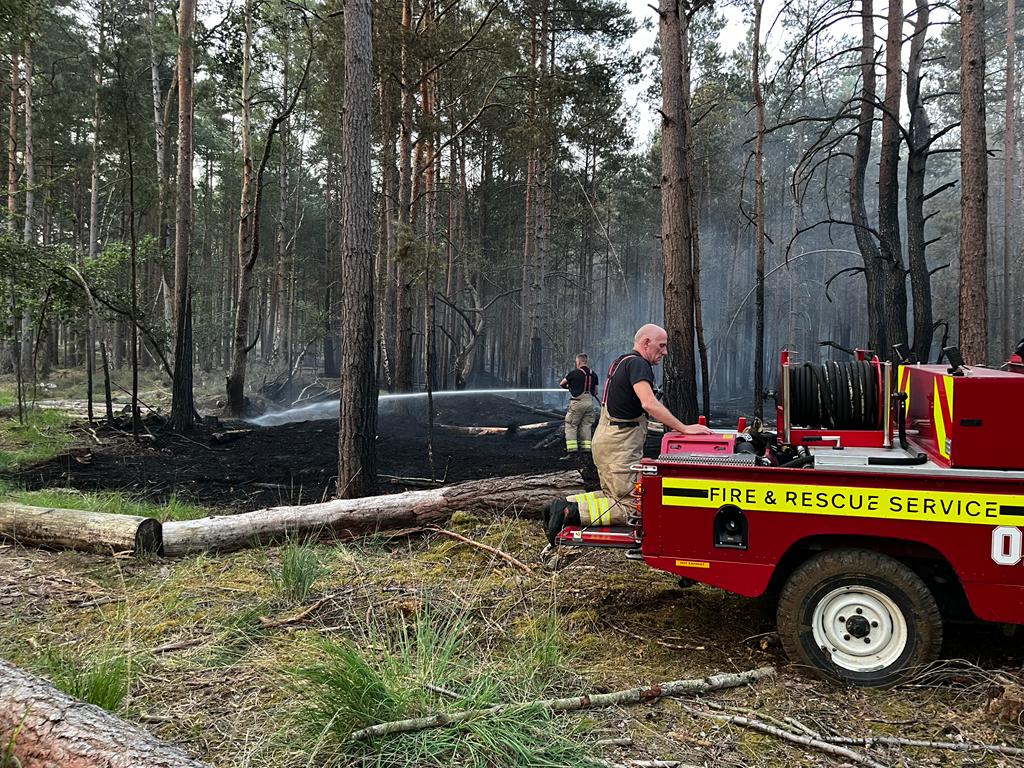 One acre of land destroyed near Church Crookham - Hampshire & Isle of ...