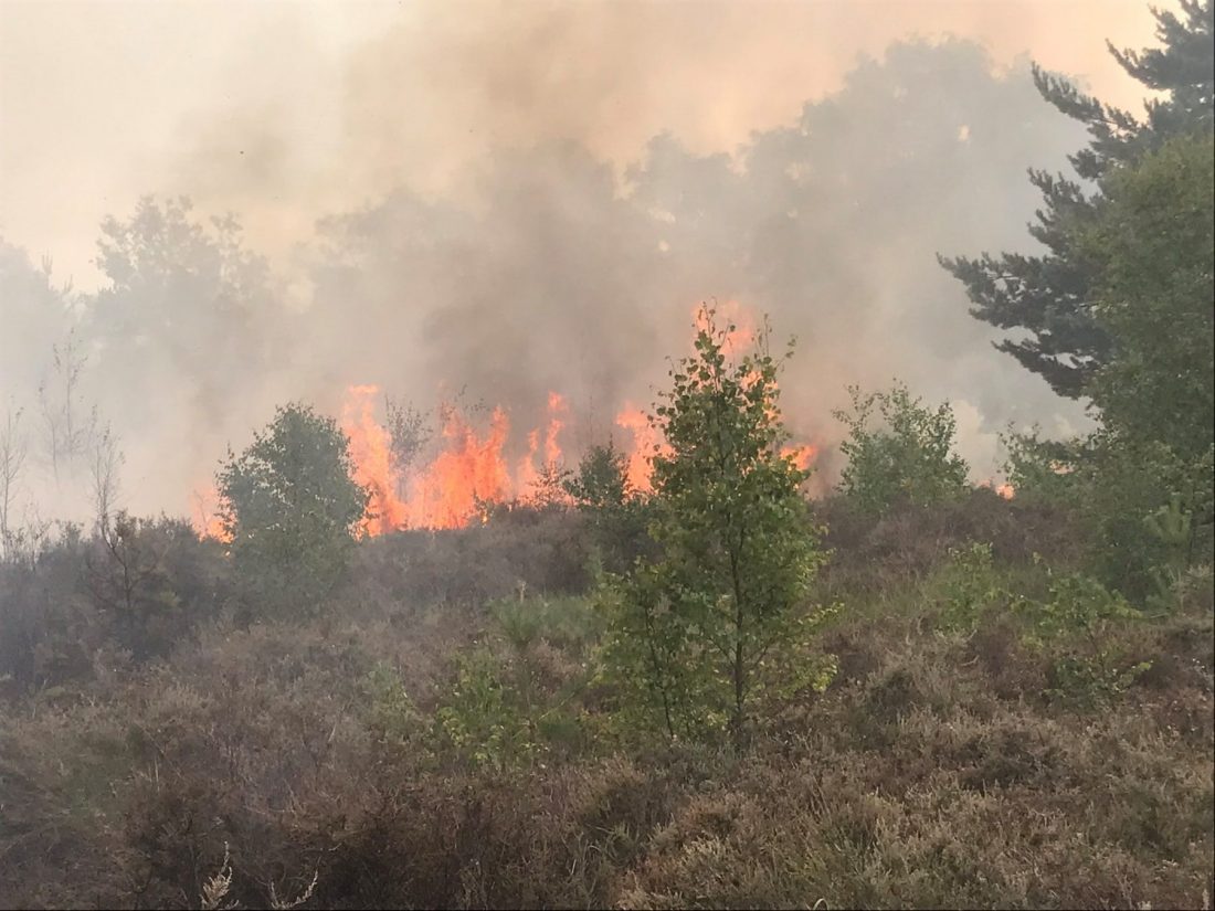 Yateley Common wildfire prompts plea for public to take extra care ...