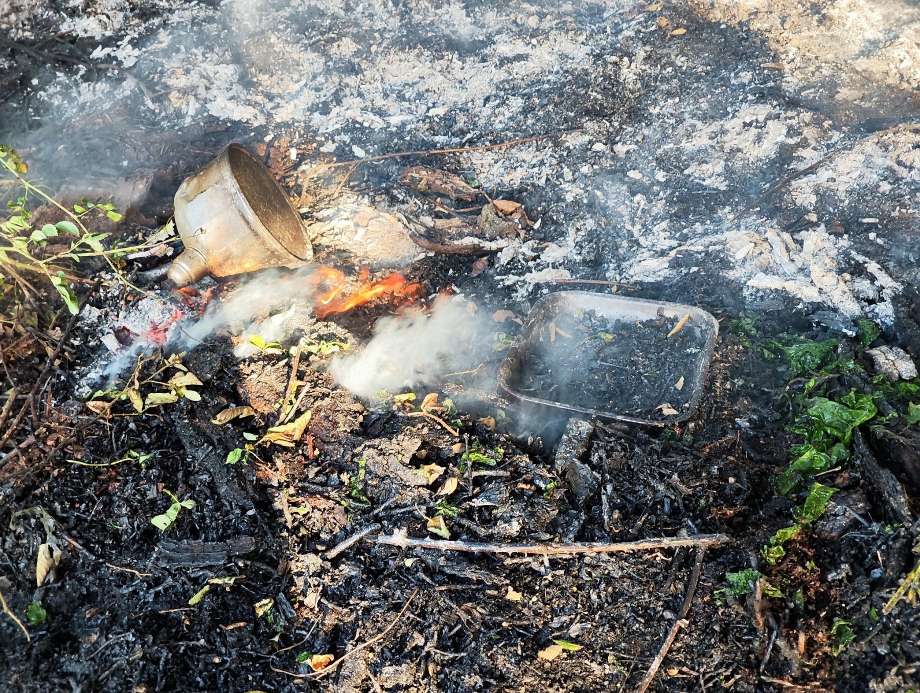 Public urged 'stay safe' following rise in outdoor fires - Hampshire ...