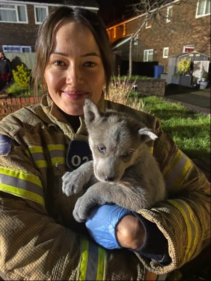 Dogs rescued after heat lamp sparks house fire in Church Crookham ...