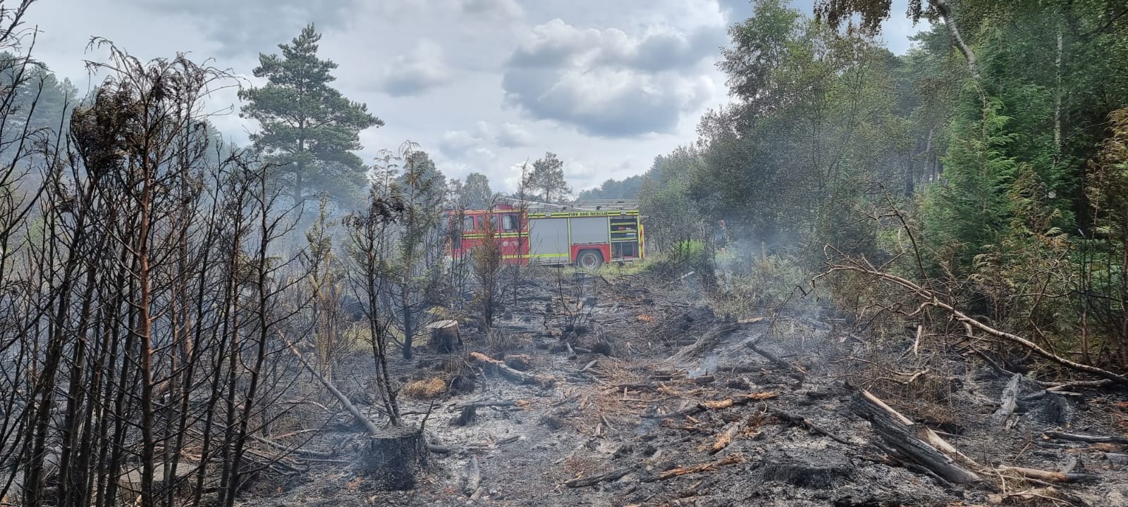 Hartley Wintney woodland destroyed by wildfire - Hampshire & Isle of ...