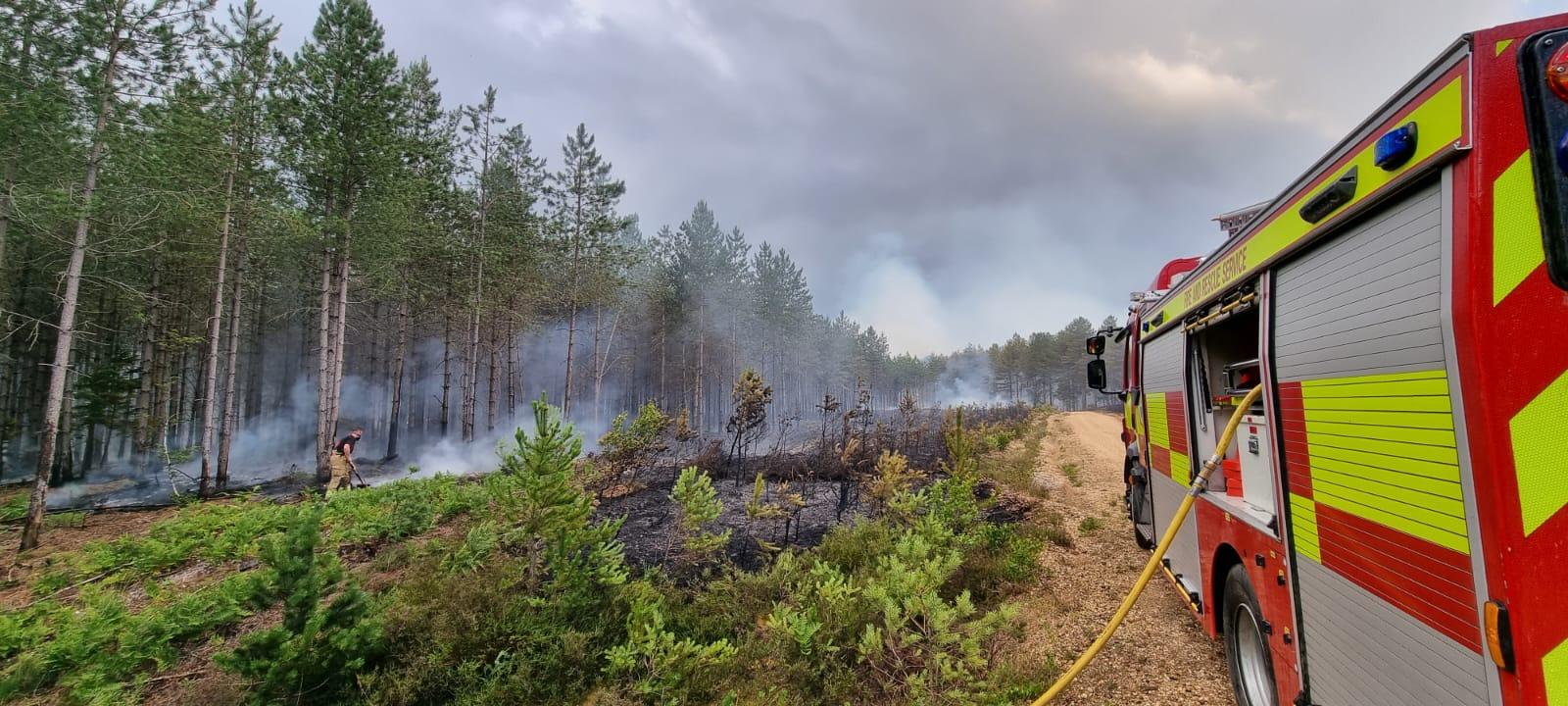 Hartley Wintney woodland destroyed by wildfire - Hampshire & Isle of ...