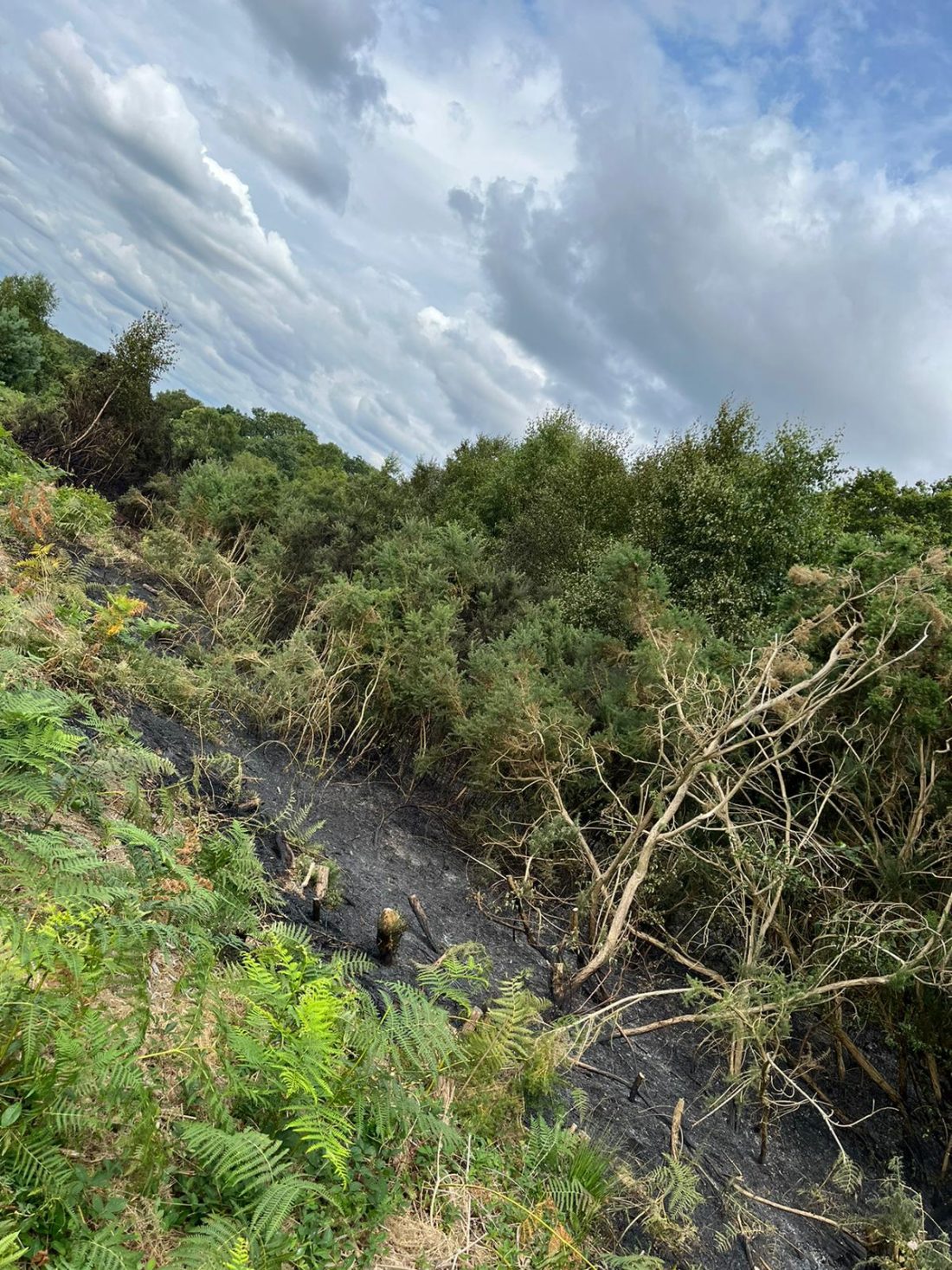 Large fire breaks out near to Yateley Common - Hampshire & Isle of ...