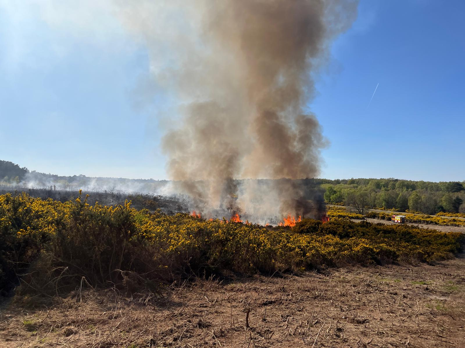 Firefighters tackling Blackwater wildfire - Hampshire & Isle of Wight ...