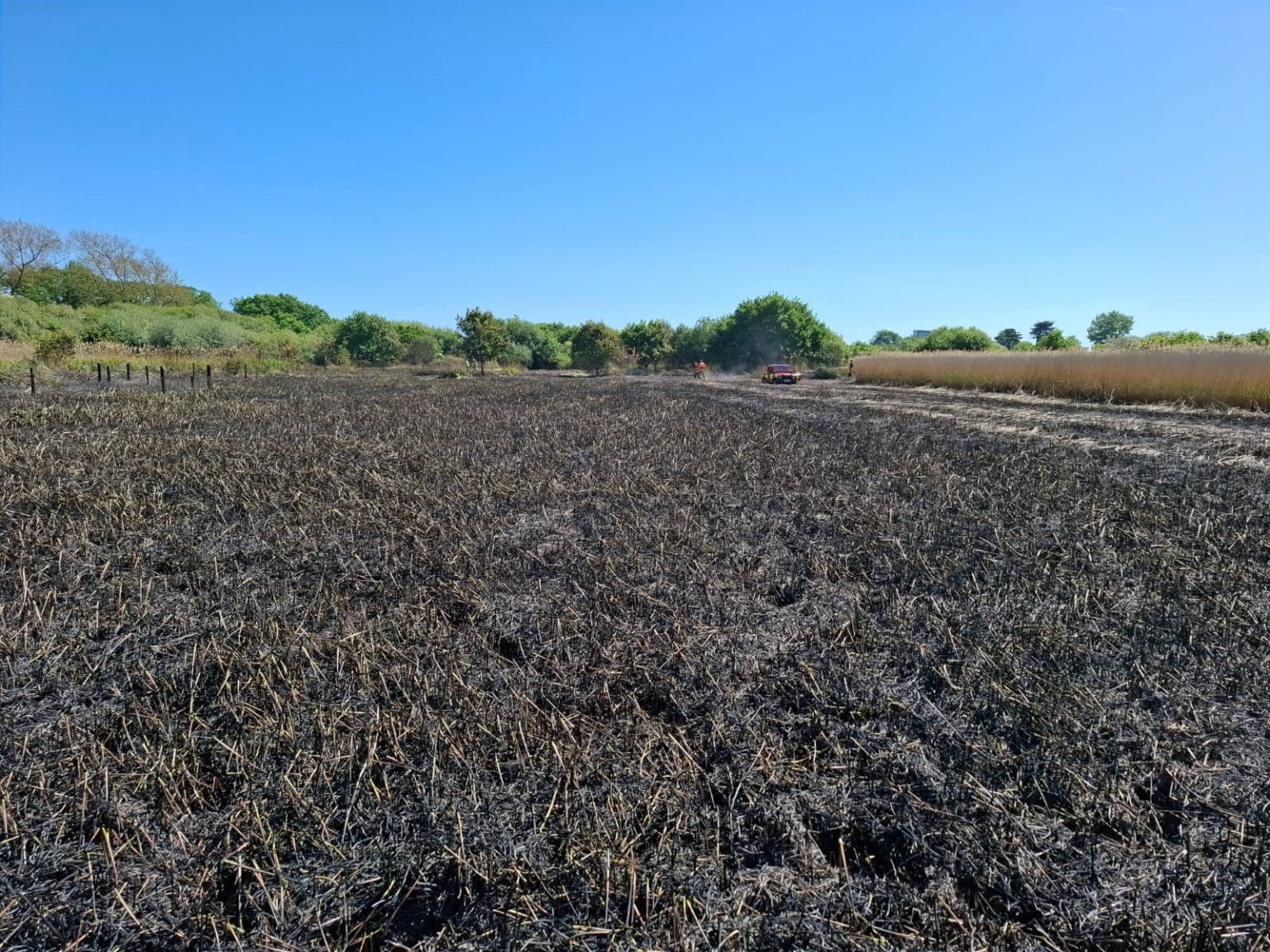 Crews tackle large fire in the open on the Isle of Wight - Hampshire ...