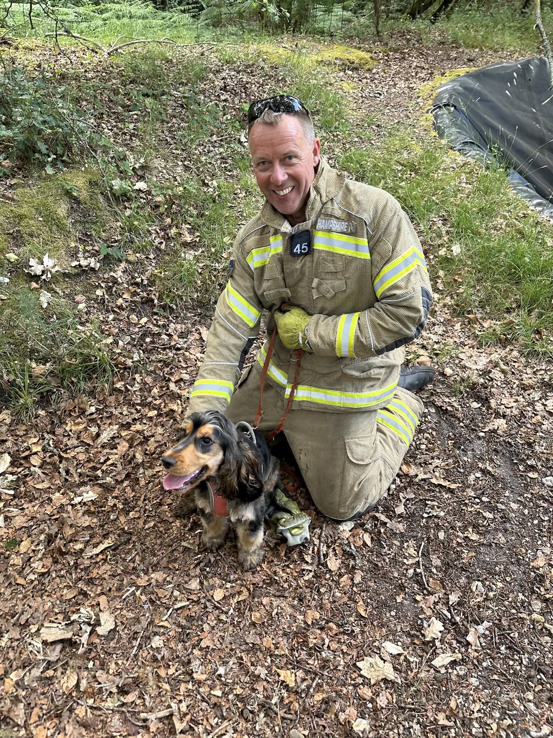 Cocker Spaniel, Lando, rescued from reservoir by on-call firefighters ...